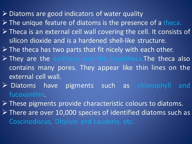 DIATOMS AND DINOFLAGELLATES BP221508.pdf | Biological Sciences | Science