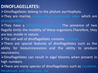 DIATOMS AND DINOFLAGELLATES BP221508.pdf