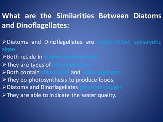 DIATOMS AND DINOFLAGELLATES BP221508.pdf
