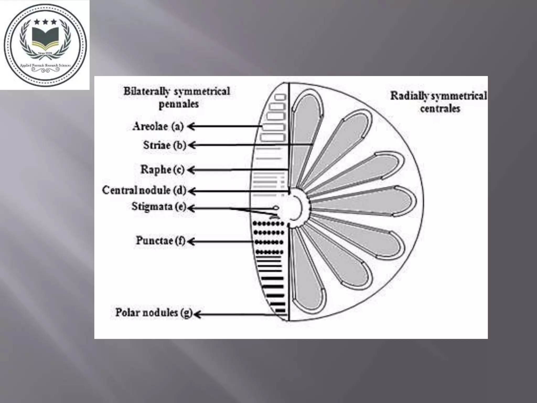 Diatoms and its Forensic Significance.pptx