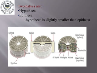 Diatoms and its Forensic Significance.pptx