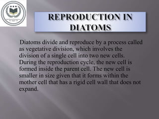 Diatoms and its Forensic Significance.pptx