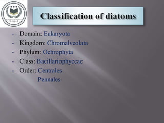 Diatoms and its Forensic Significance.pptx