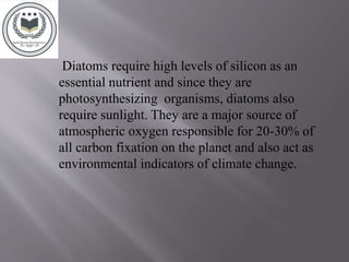 Diatoms and its Forensic Significance.pptx