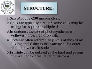 Diatoms and its Forensic Significance.pptx
