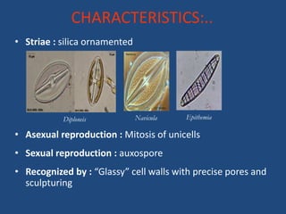DIATOM SEBAGAI BIOINDIKATOR.pdf