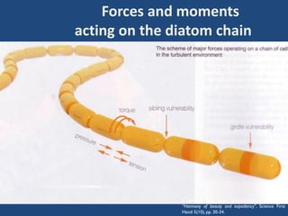 DIATOM SEBAGAI BIOINDIKATOR.pdf