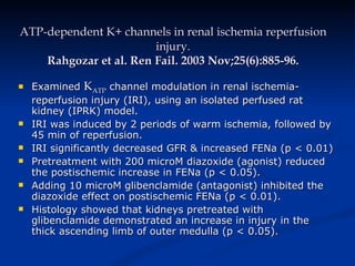 A Rare Case of Kidney Failure Due to Diazoxide Toxicity – Discussion ...