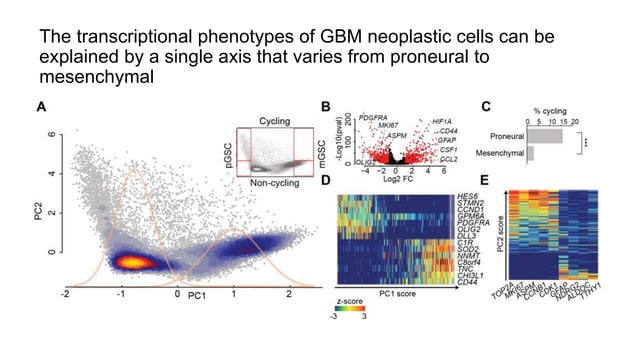 A draft single-cell atlas of human glioma | PPT
