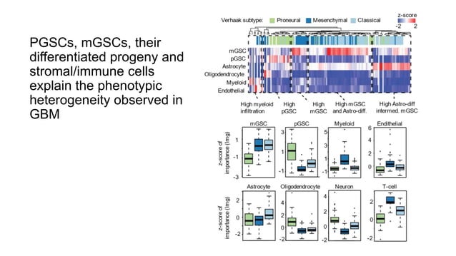 A draft single-cell atlas of human glioma | PPT
