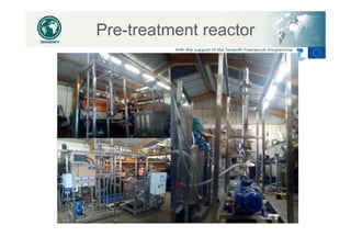 Levulinic Acid Reactor and Process Development | PDF