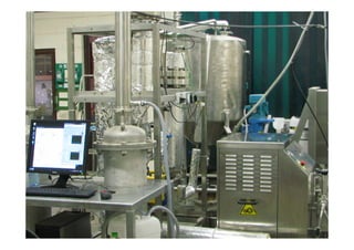 Levulinic Acid Reactor and Process Development | PDF