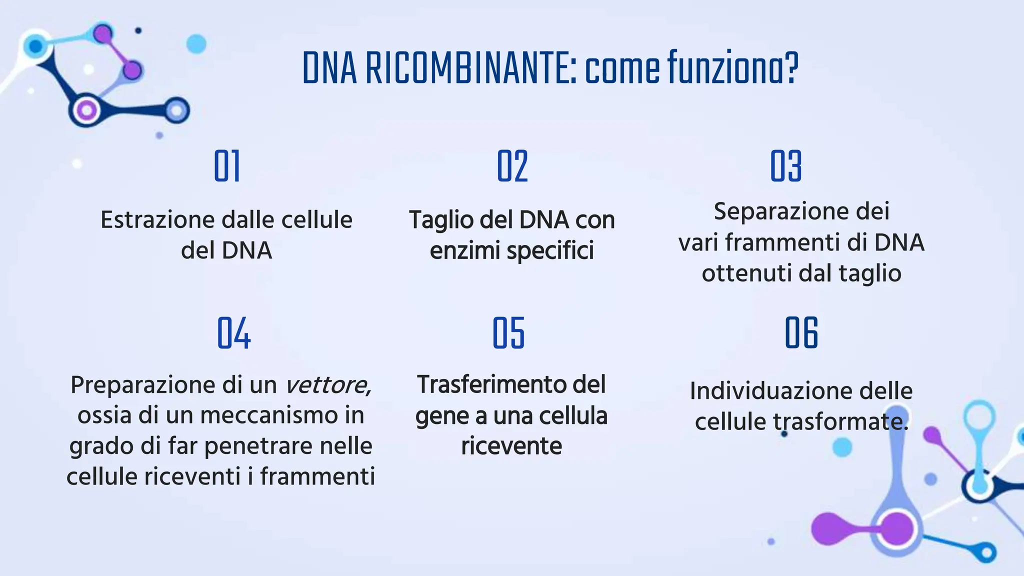 DIBATTITO OGM_scienze_ed_civia_2324.pptx