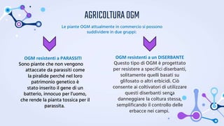 DIBATTITO OGM_scienze_ed_civia_2324.pptx