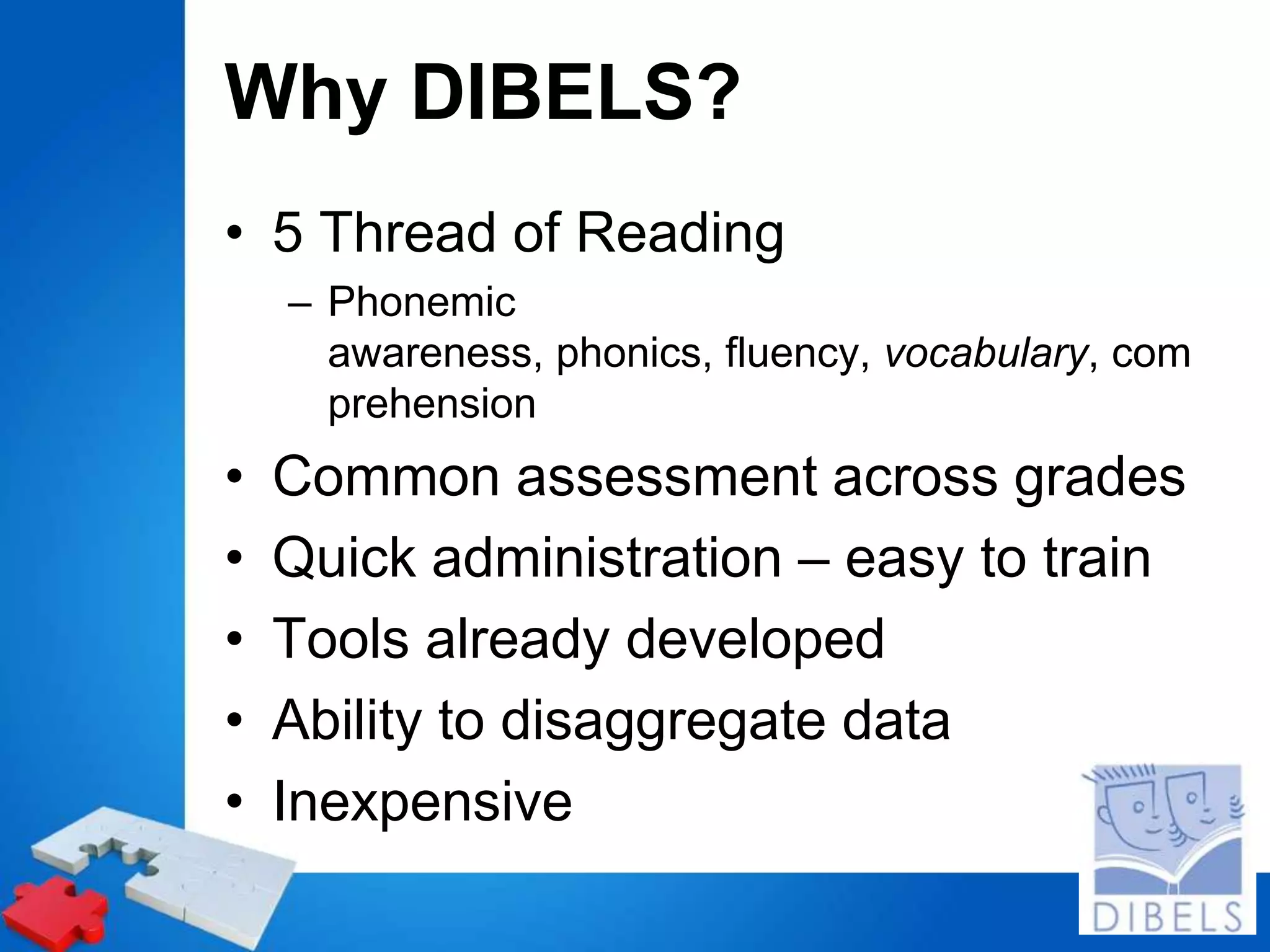 DIBELS: One Piece of the Puzzle | PPT