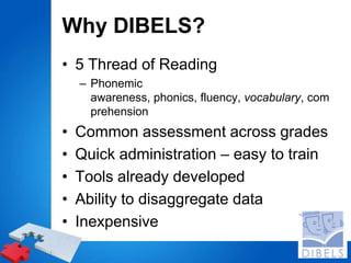 DIBELS: One Piece of the Puzzle | PPT