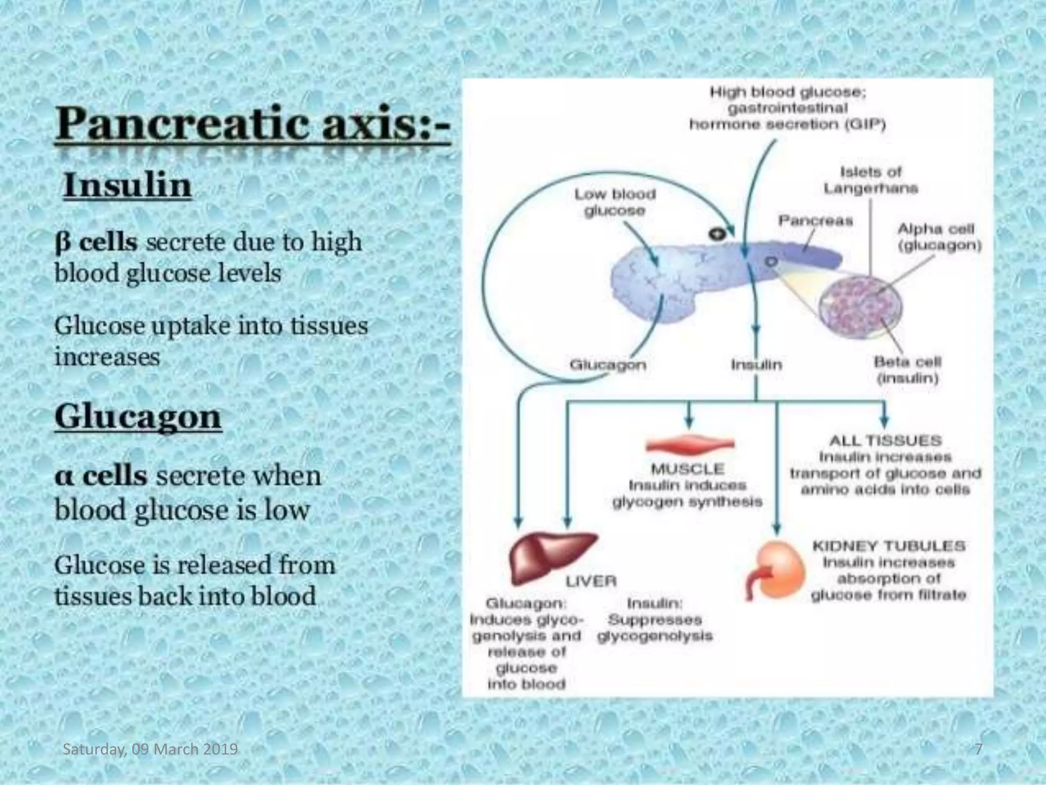 A review on medicinal plants with Antidiabetic activity. | PPTX