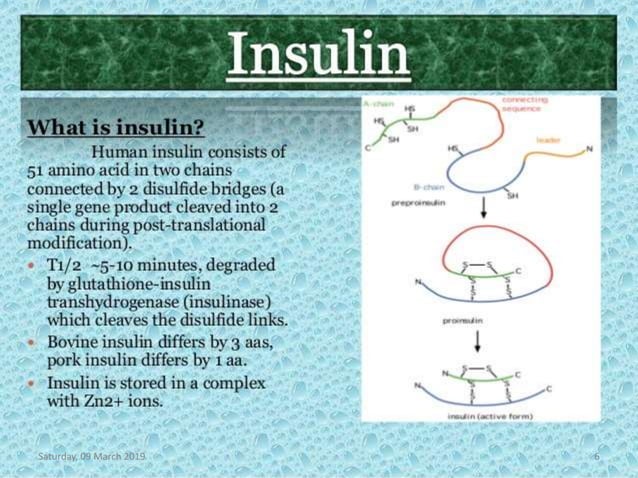 A review on medicinal plants with Antidiabetic activity. | PPTX ...