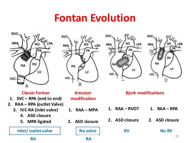 surgical approach of cyanotic congenital heart disease