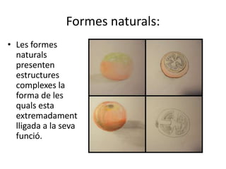 las formes de la natura | PPT