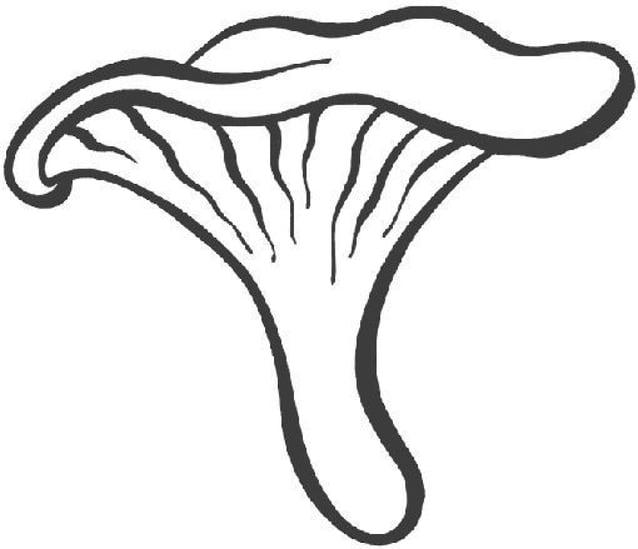 Dibuixos de bolets per pintar | PDF