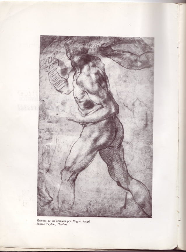 La Figura Humana Dubujo Anatomico Pdf