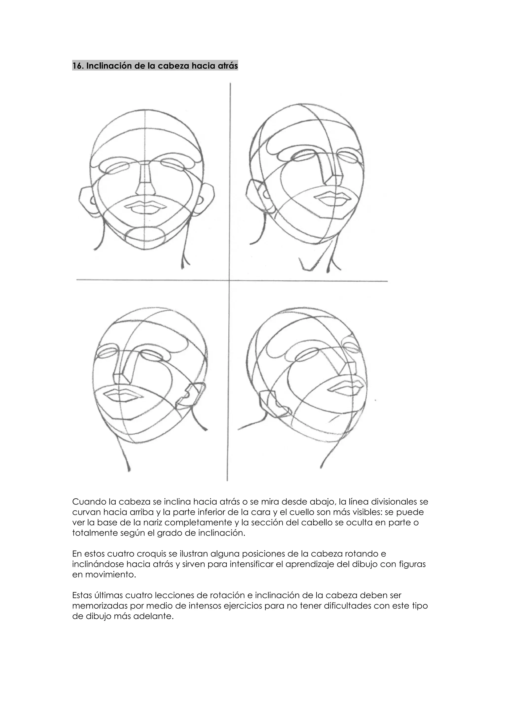 Dibujo Del Cuerpo Humano Pdf