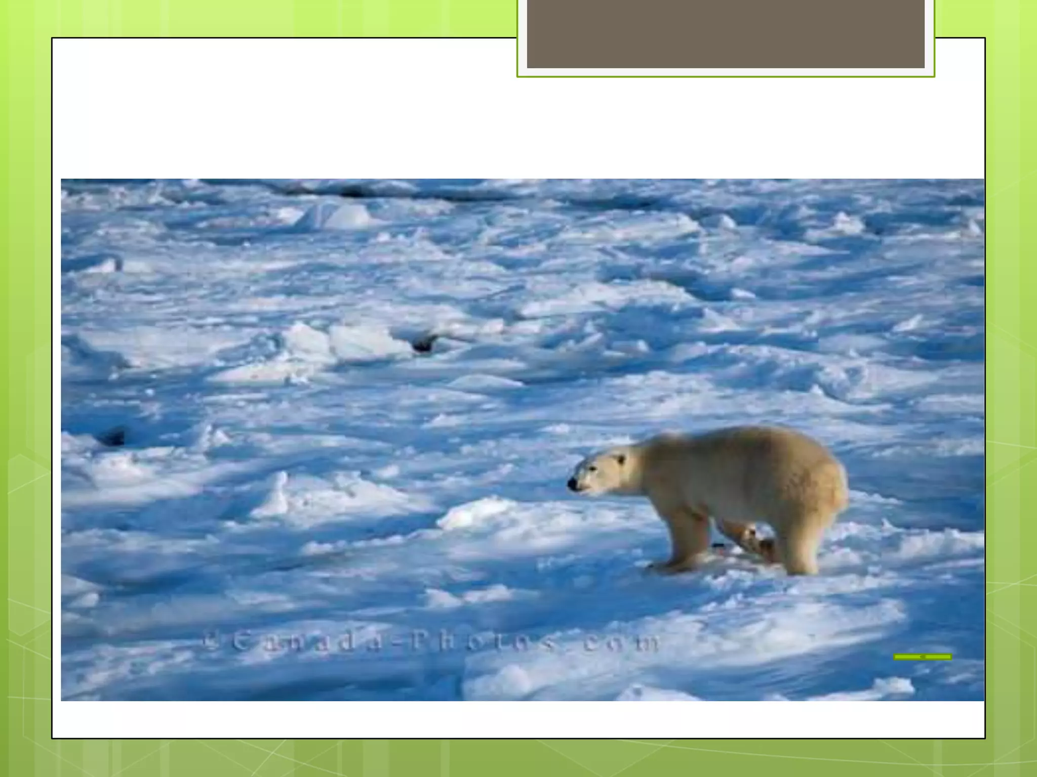 Dibujos animados | PPT