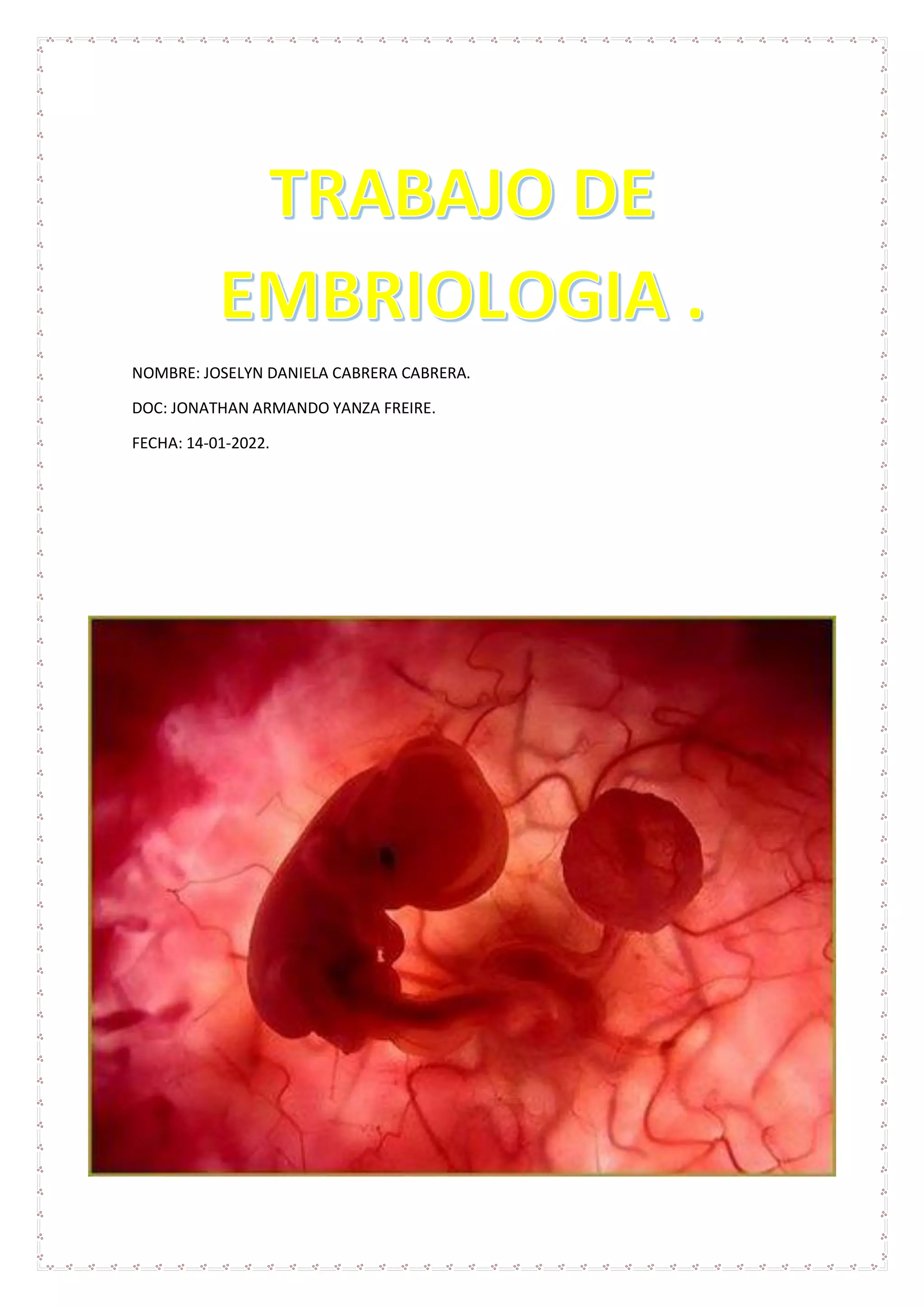 DIBUJOS DE EMBRIOLOGIA.pdf