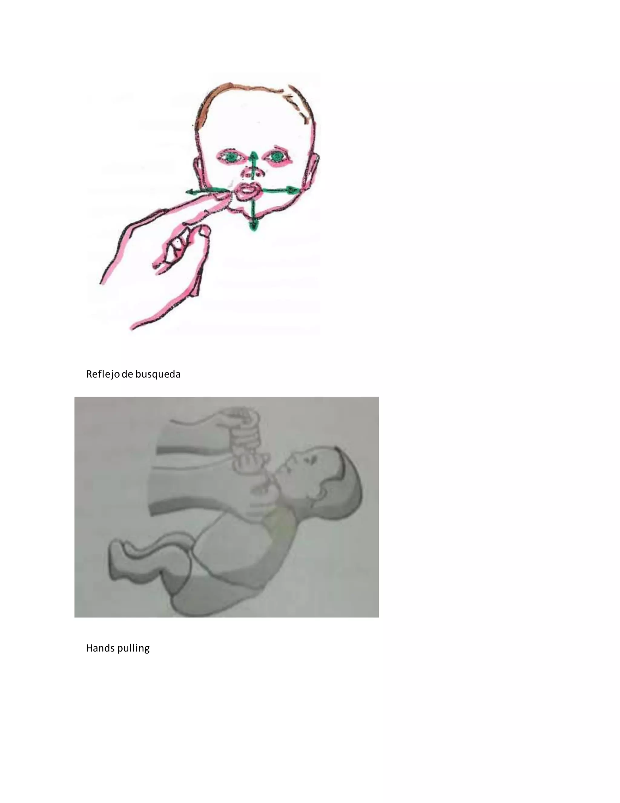 Dibujos de reflejos | DOCX