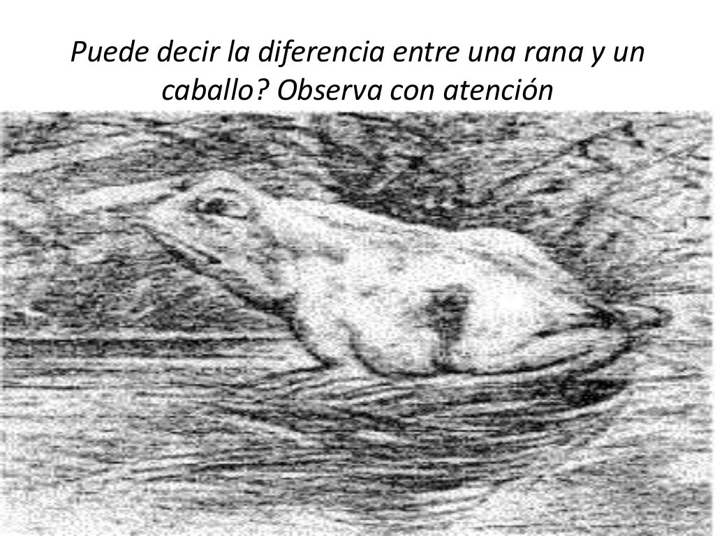 Dibujos para desarrollar la percepción visual (3)