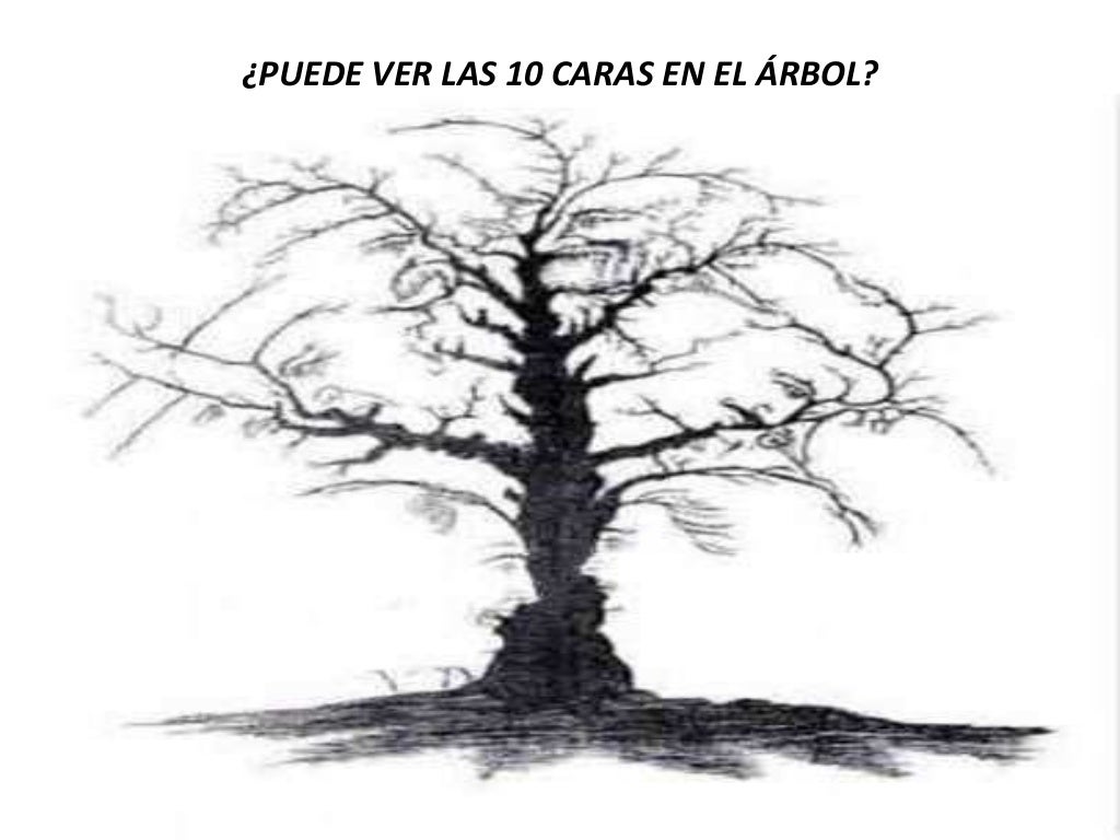 Dibujos para desarrollar la percepción visual (3)