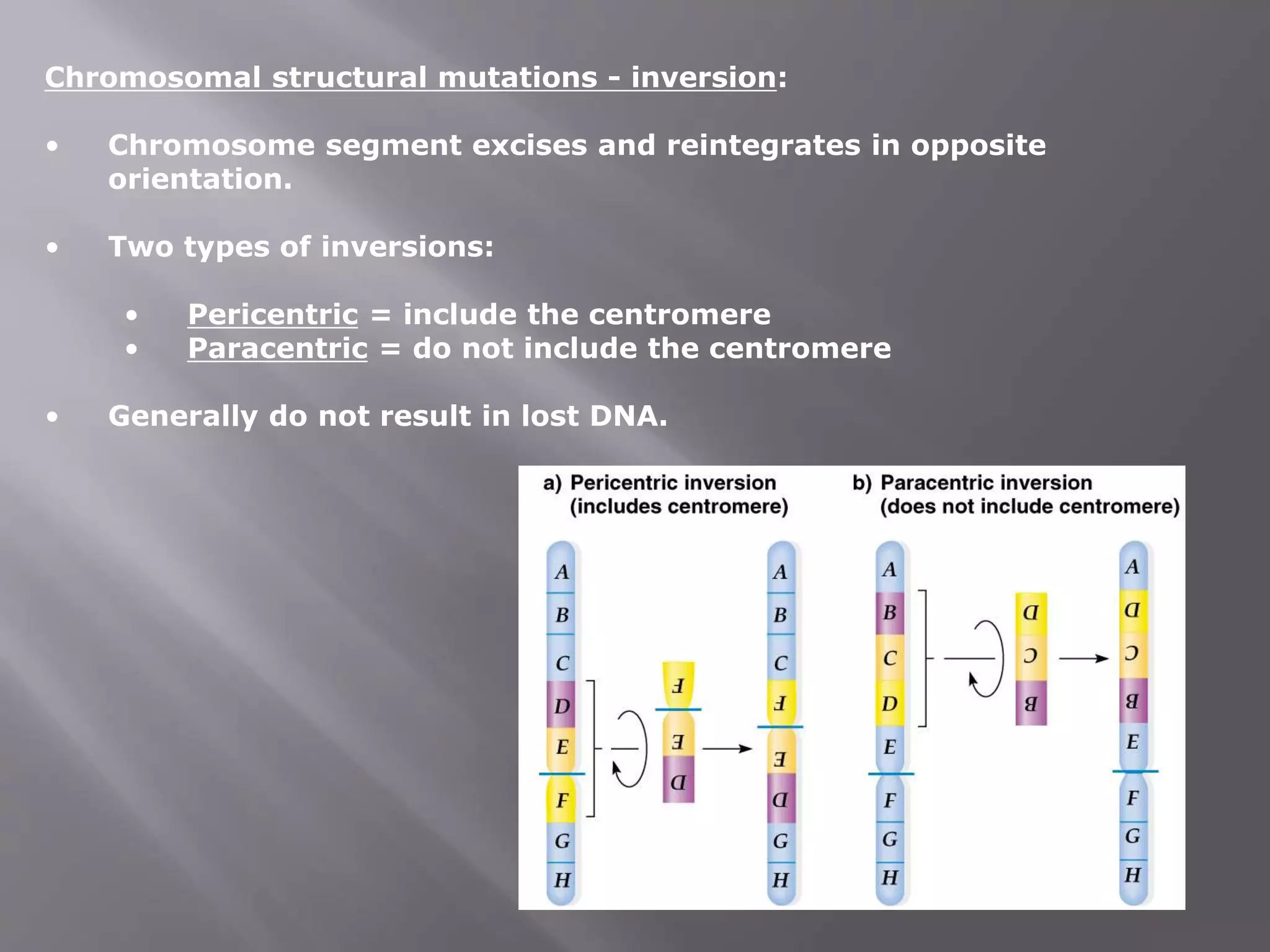 structural chromosomal abberations and mutation | PPTX