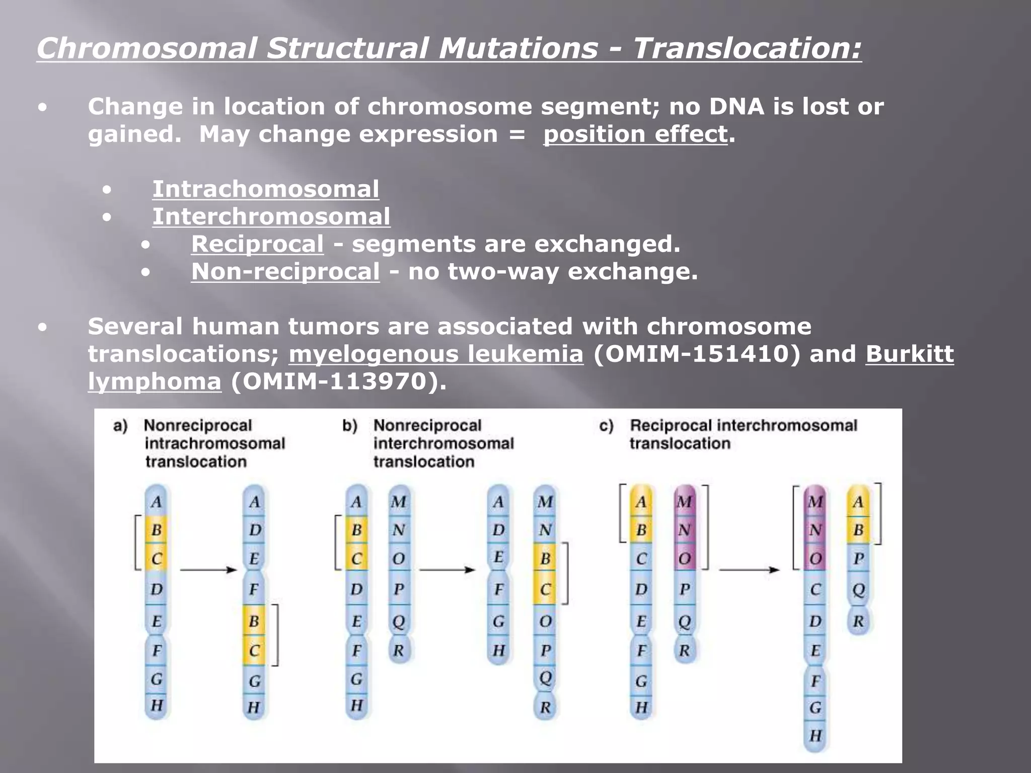 structural chromosomal abberations and mutation | PPTX