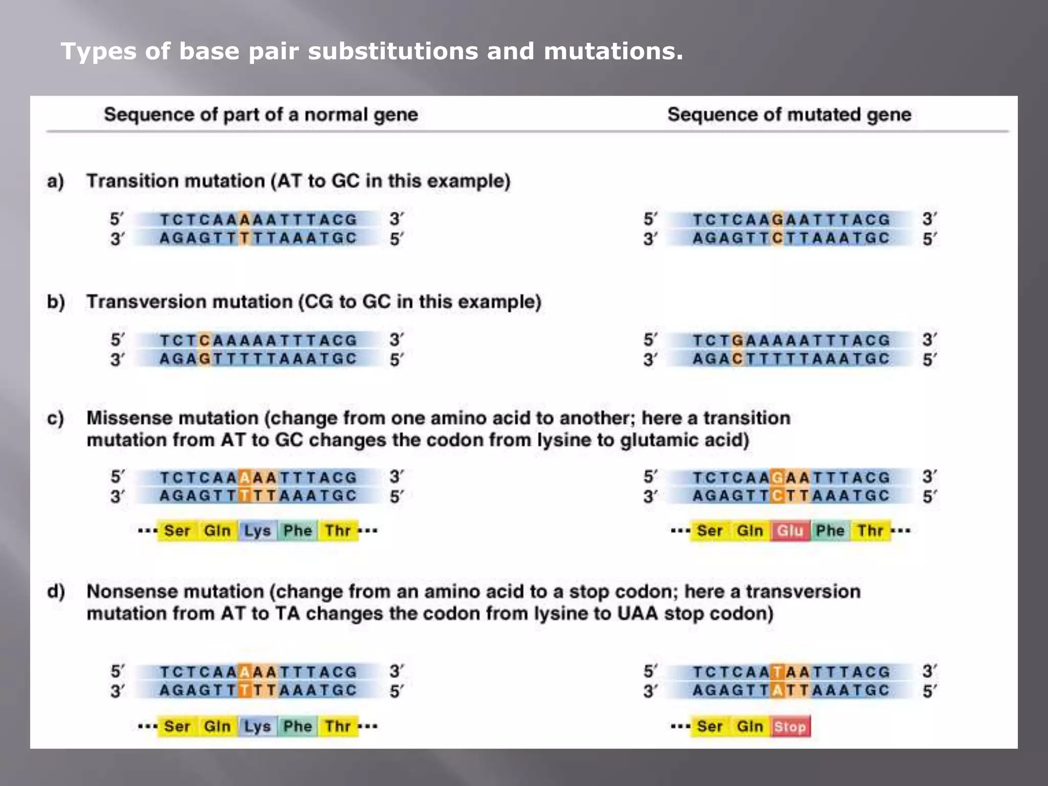 structural chromosomal abberations and mutation | PPTX