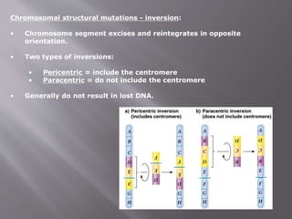 structural chromosomal abberations and mutation | PPTX