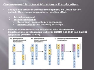 structural chromosomal abberations and mutation | PPTX