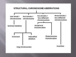 Chromosomal Mutations Chart