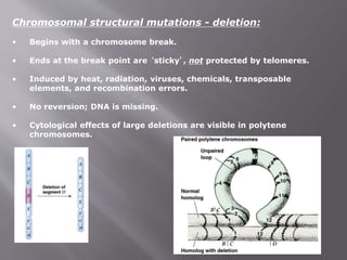 structural chromosomal abberations and mutation | PPTX