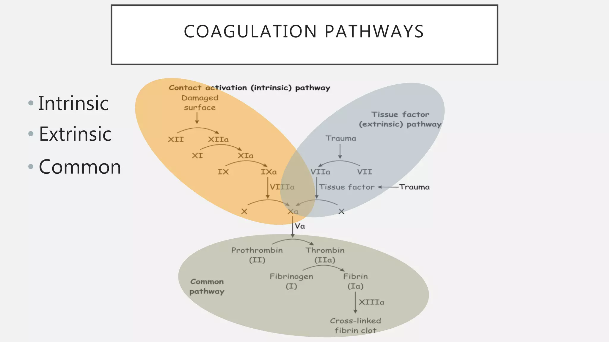Disseminated intravascular coagulation (DIC) | PPTX