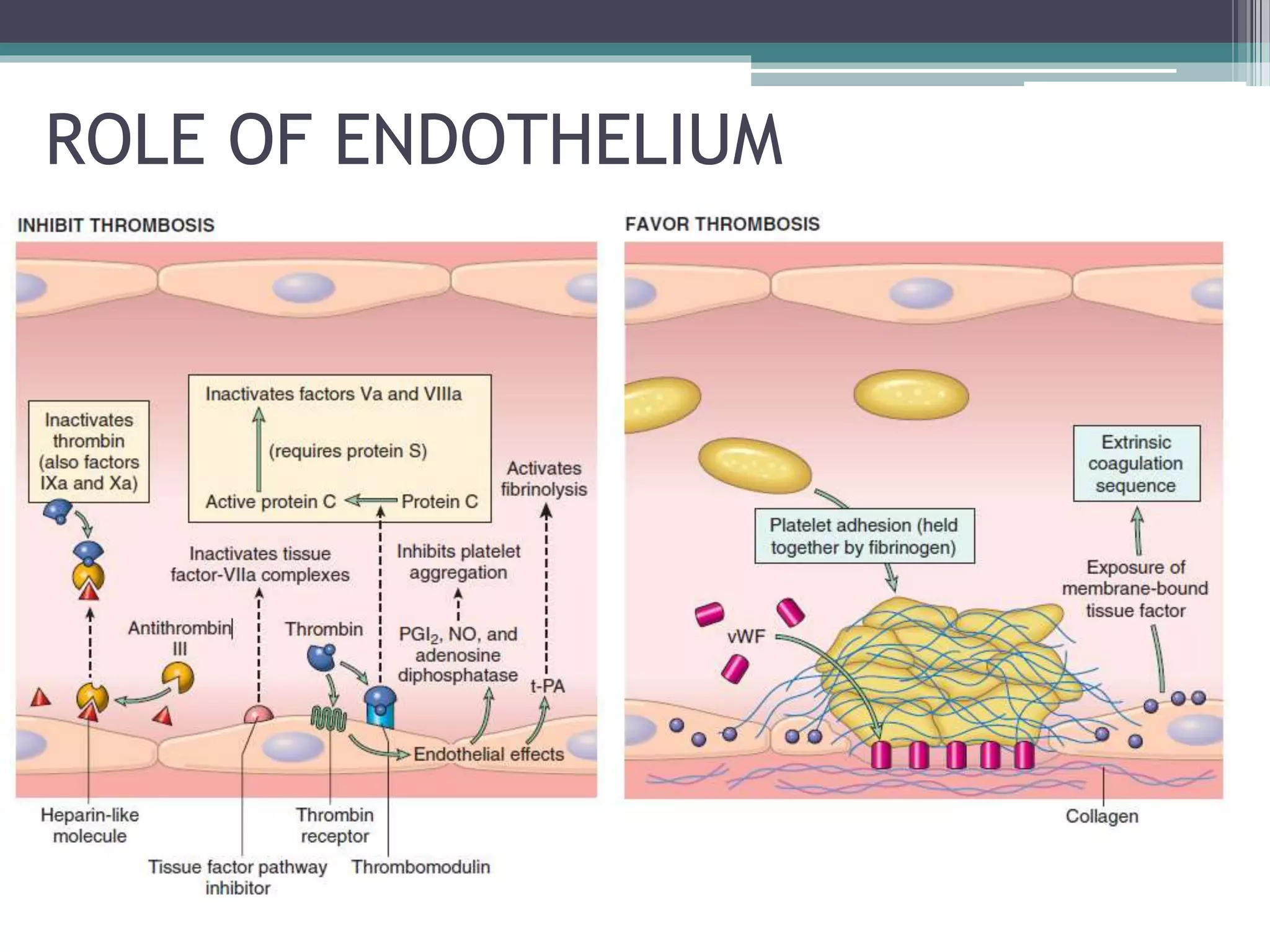 DISSEMINATED INTRAVASCULAR COAGULATION | PPTX