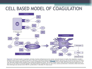 DISSEMINATED INTRAVASCULAR COAGULATION | PPTX