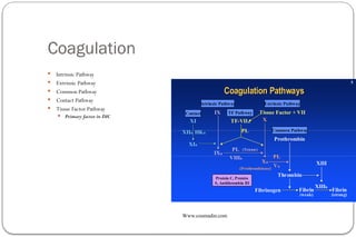 DIC and VIT-K in coagulation diorders.pptx