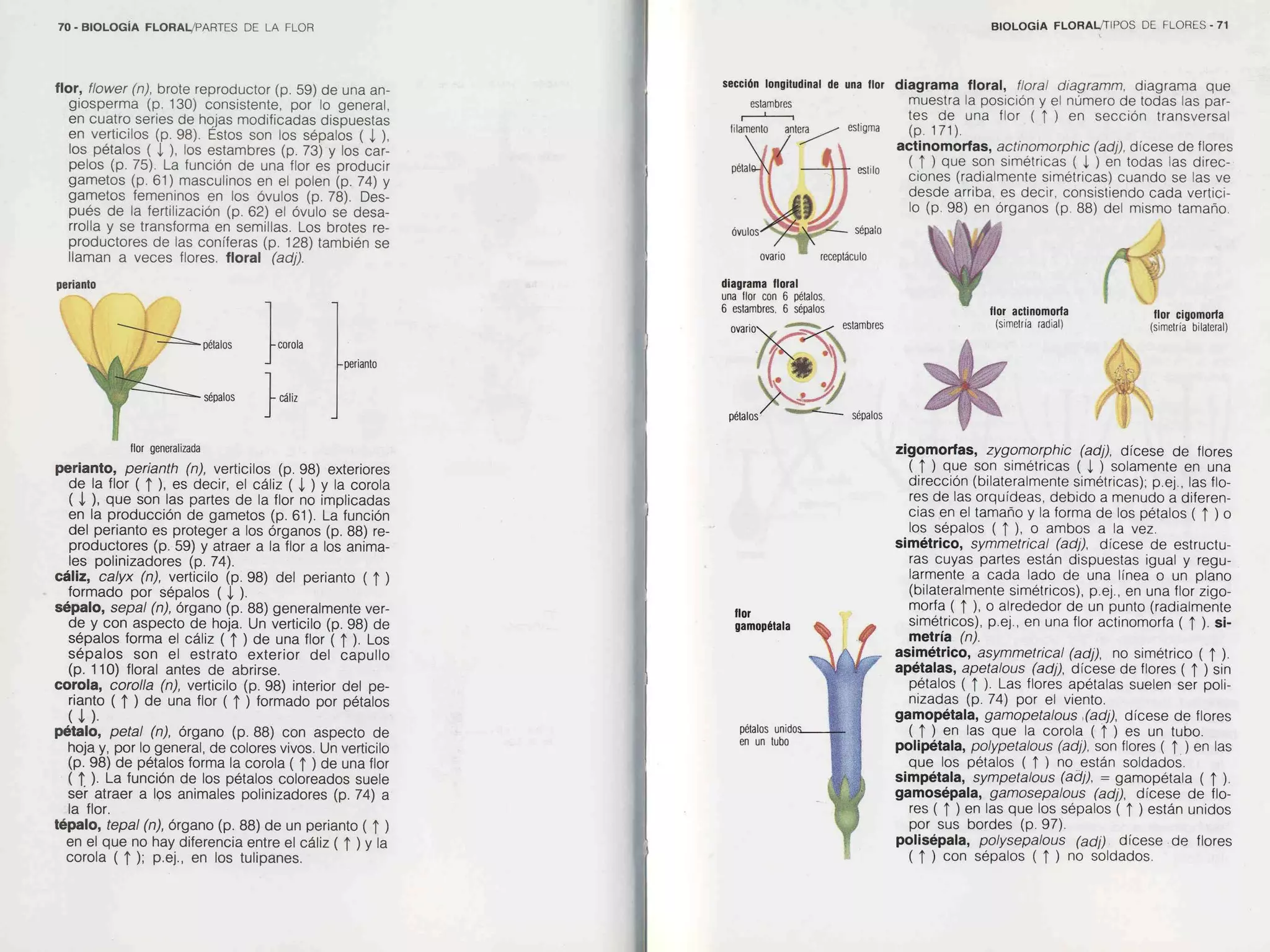 Diccionario.ilustrado.de.la.botanica | PDF