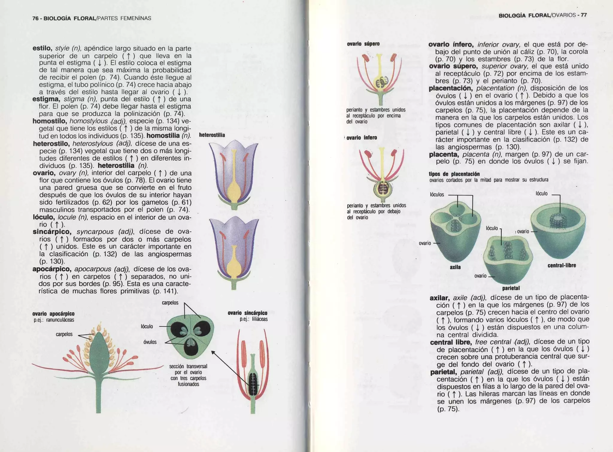 Diccionario.ilustrado.de.la.botanica | PDF