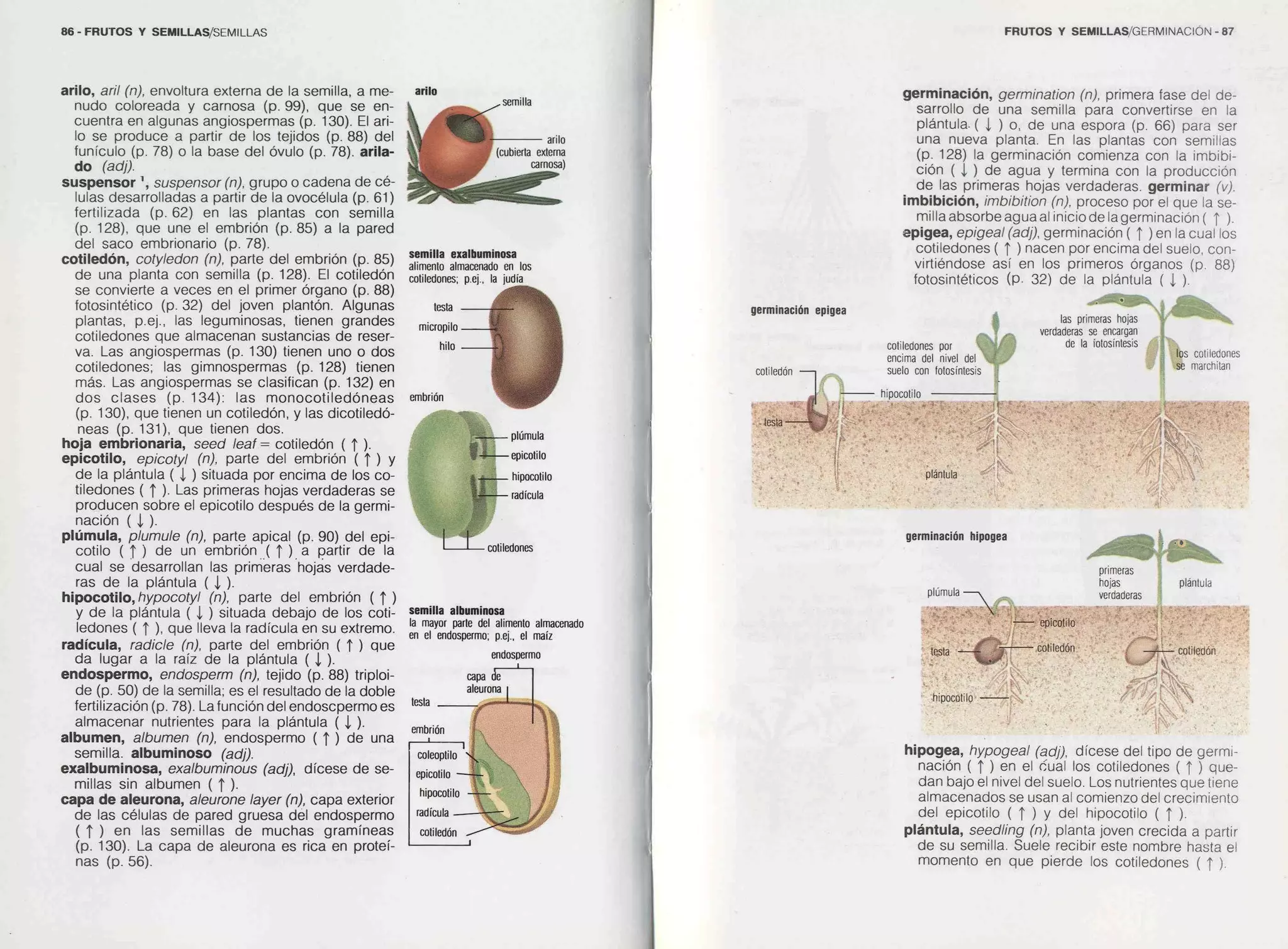 Diccionario.ilustrado.de.la.botanica | PDF