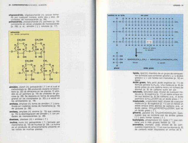 Diccionario.ilustrado.de.la.botanica | PDF