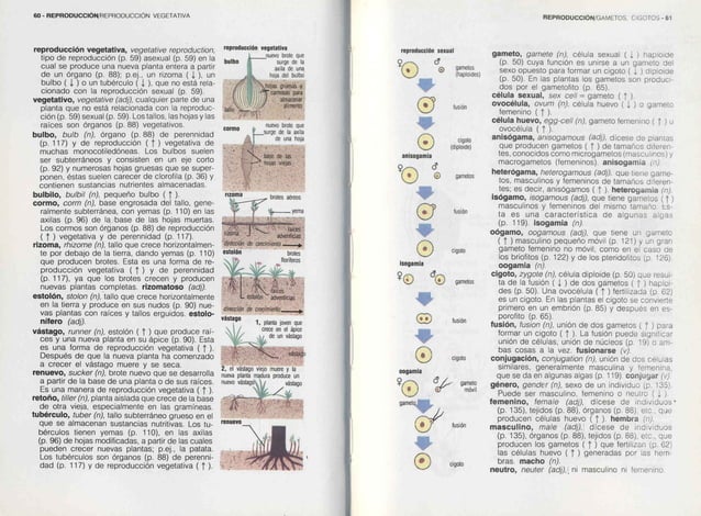 Diccionario.ilustrado.de.la.botanica | PDF