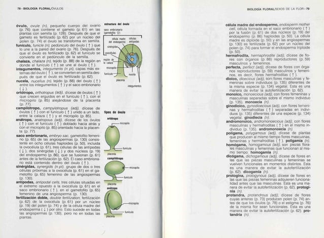Diccionario.ilustrado.de.la.botanica | PDF