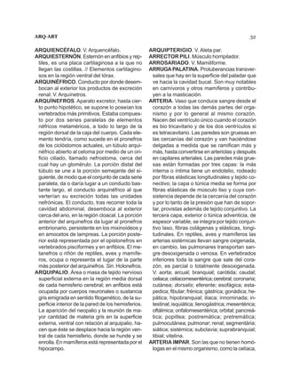 Diccionario de anatomía | PDF